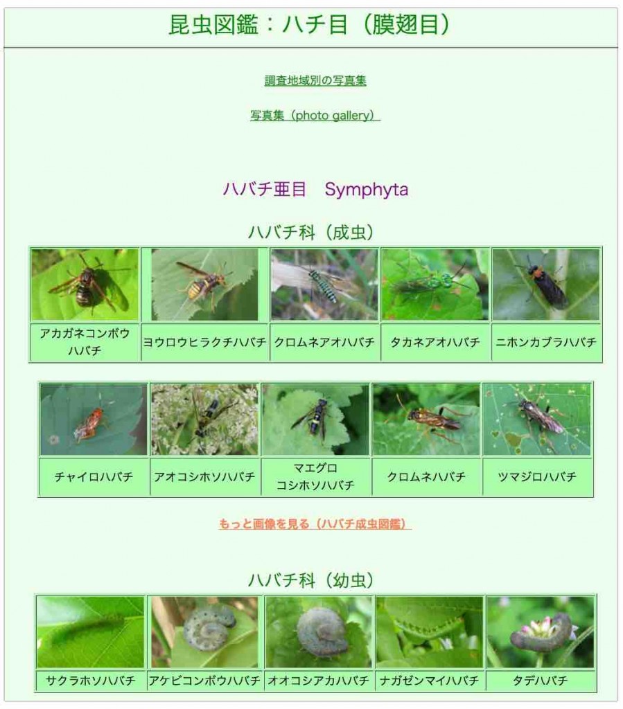 %e3%81%9f%e3%81%ae%e3%81%97%e3%81%84%e6%98%86%e8%99%ab%e5%85%a5%e9%96 ...